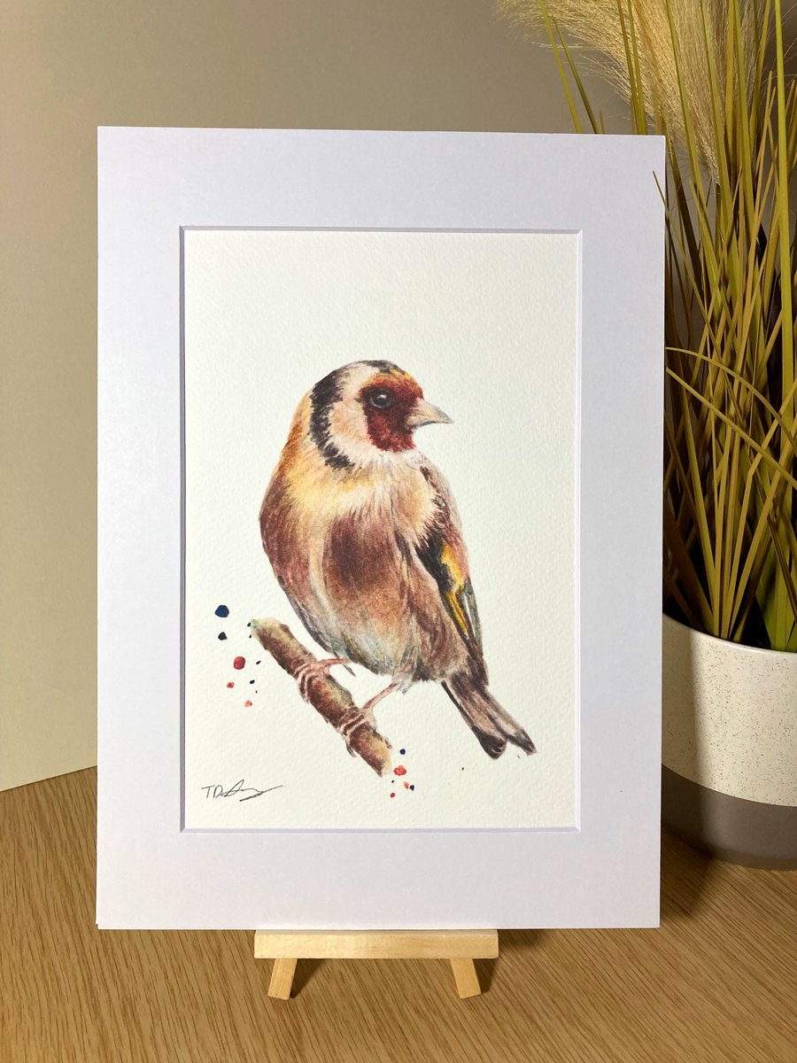 Goldfinch bird print from an original watercolo... - Folksy