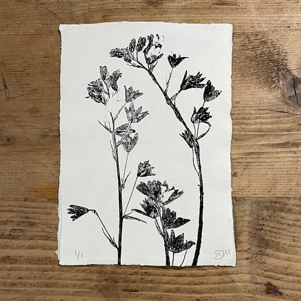 Bluebell Print Original botanical nature monoty... - Folksy