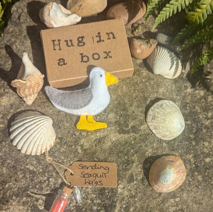 Hug in a box, seagull, support, sending hugs, p... - Folksy