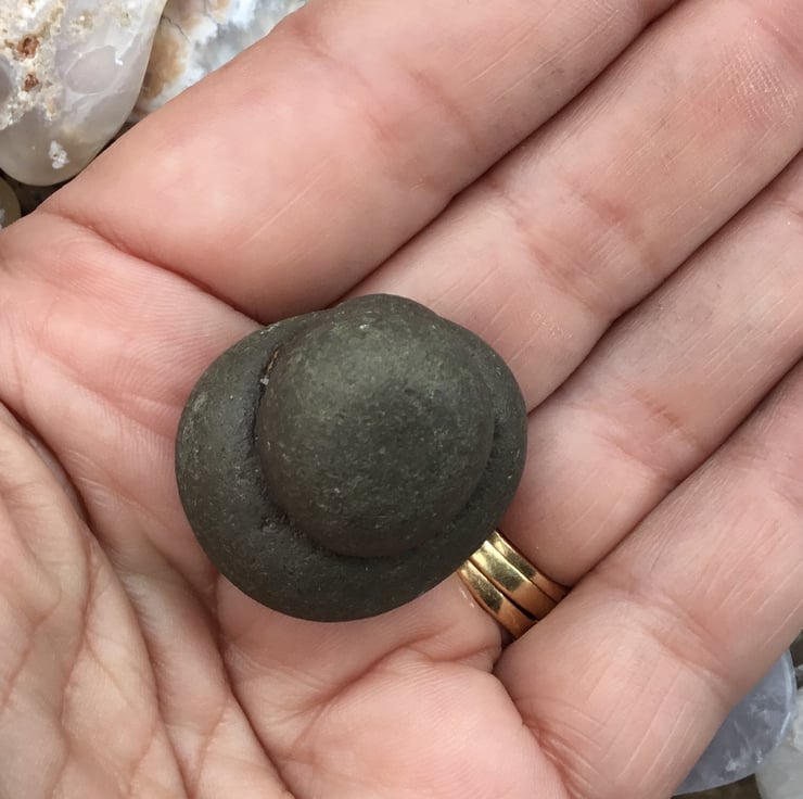 Ancient Coprolite! Pyrite Coprolite Fossilised... - Folksy