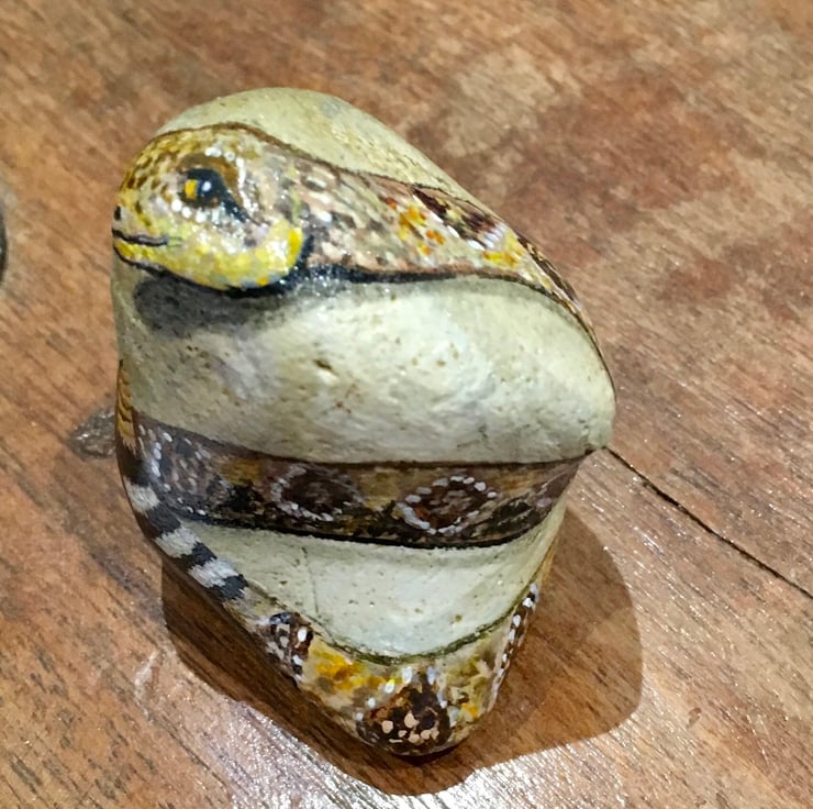 Snake painted pebble garden rock art wildlife p... - Folksy