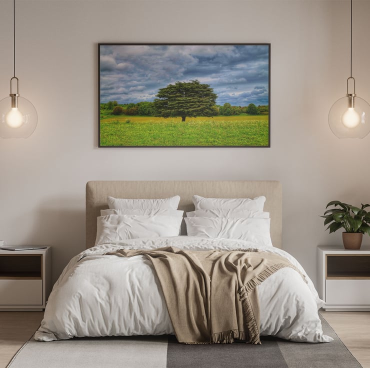 Framed Lonely Tree Photo, Rural England Print, ... - Folksy