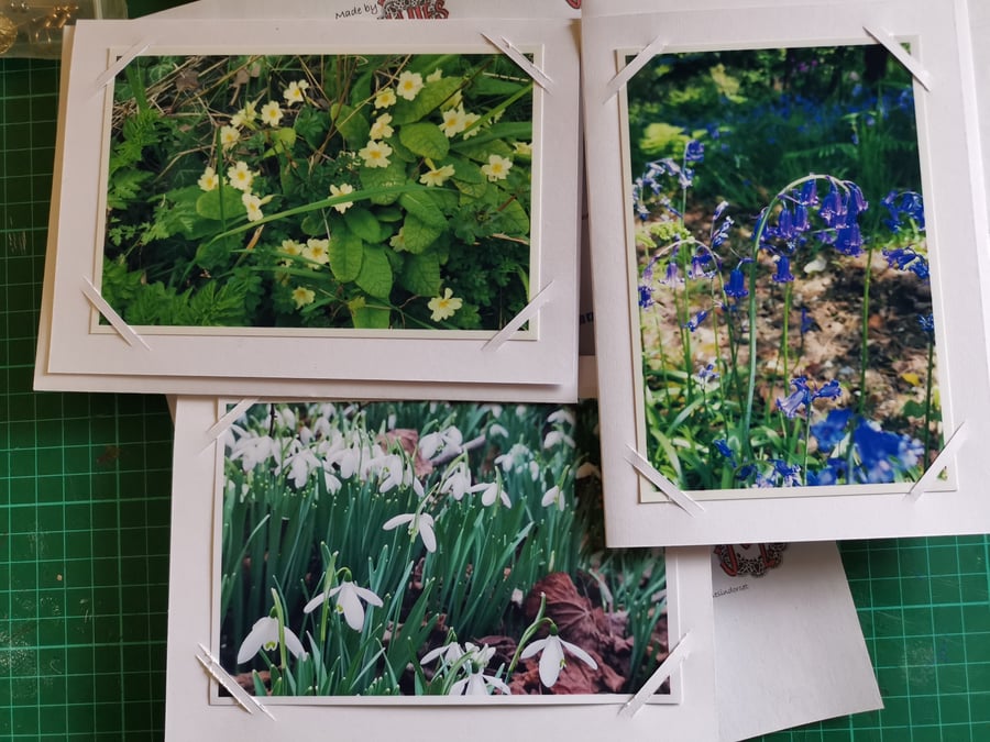 British spring flowers, blank cards - Folksy