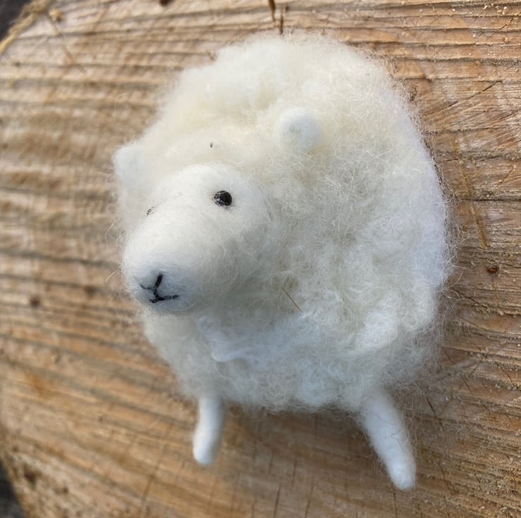 3D mini sheep wall plaque needle felted - Folksy