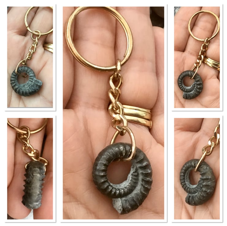 Large Perforation Pyrite Ammonite Fossil Keyrin... - Folksy