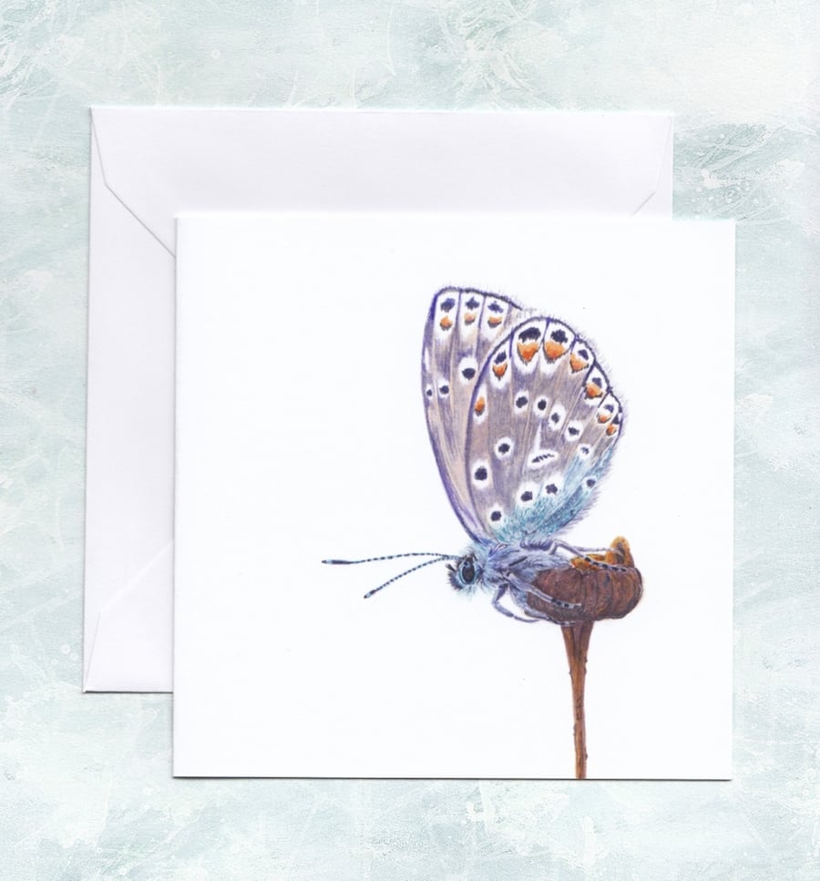 Butterfly Greetings Card - Folksy