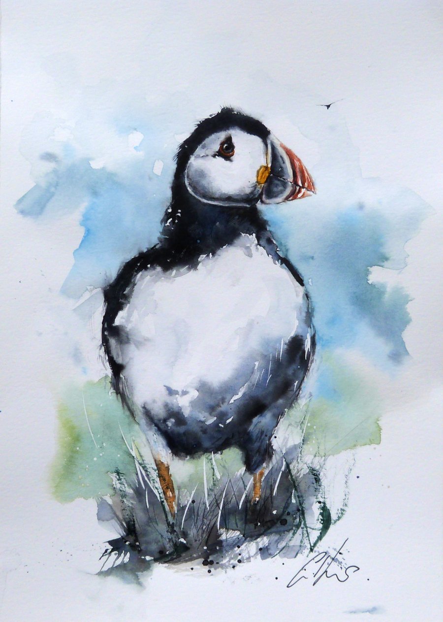 A Puffin, Original Watercolour Painting. - Folksy