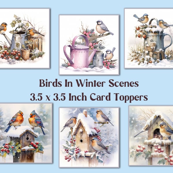 Birds in WInter Scenes Set of 6 Square Card Top... - Folksy