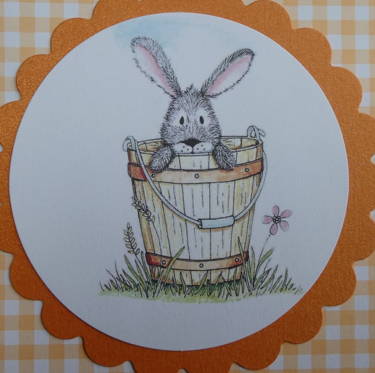 Blank Card - Rabbit in a Bucket - Good Luck, Bi... - Folksy