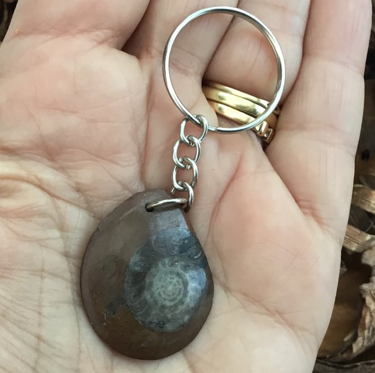 Pretty Little Ammonite Fossil Keyring or Handba... - Folksy