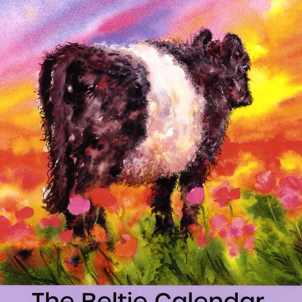 Belted Galloway Calendar 2025 - Folksy