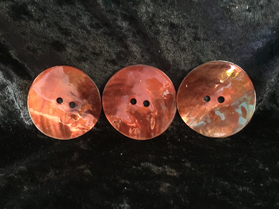 Large Copper Shell Button Size 80 - Folksy