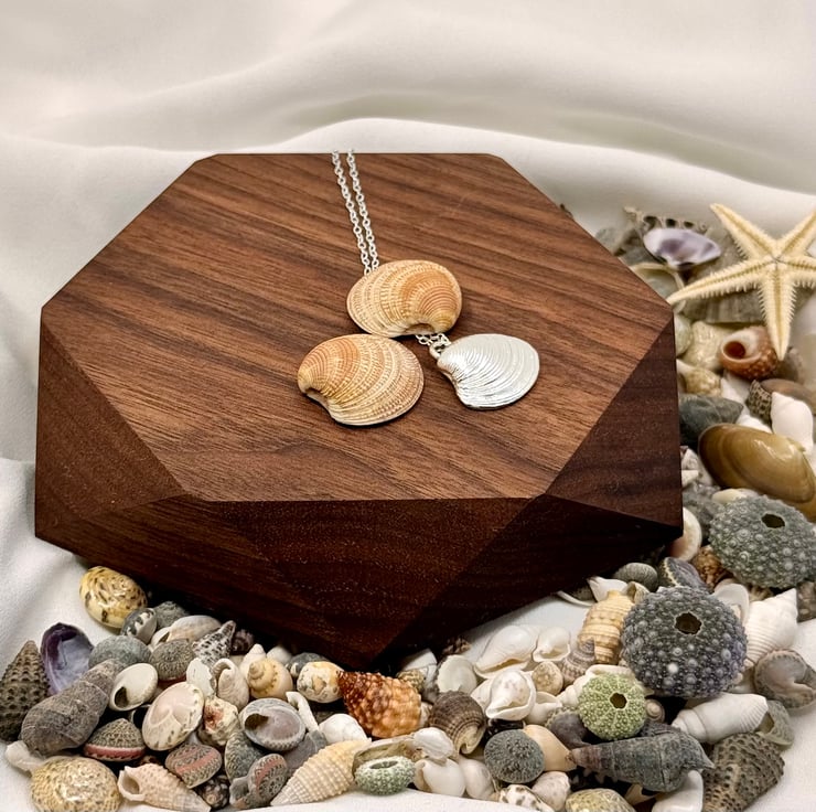 Silver Clam Shell Necklace, Handmade in North Y... - Folksy