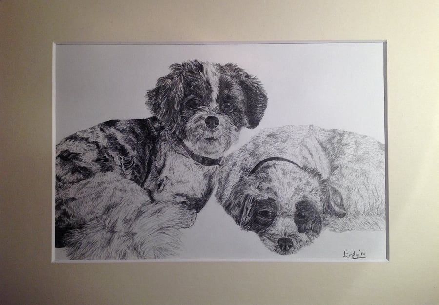 Pet Portrait Pencil Drawing Commission - Folksy