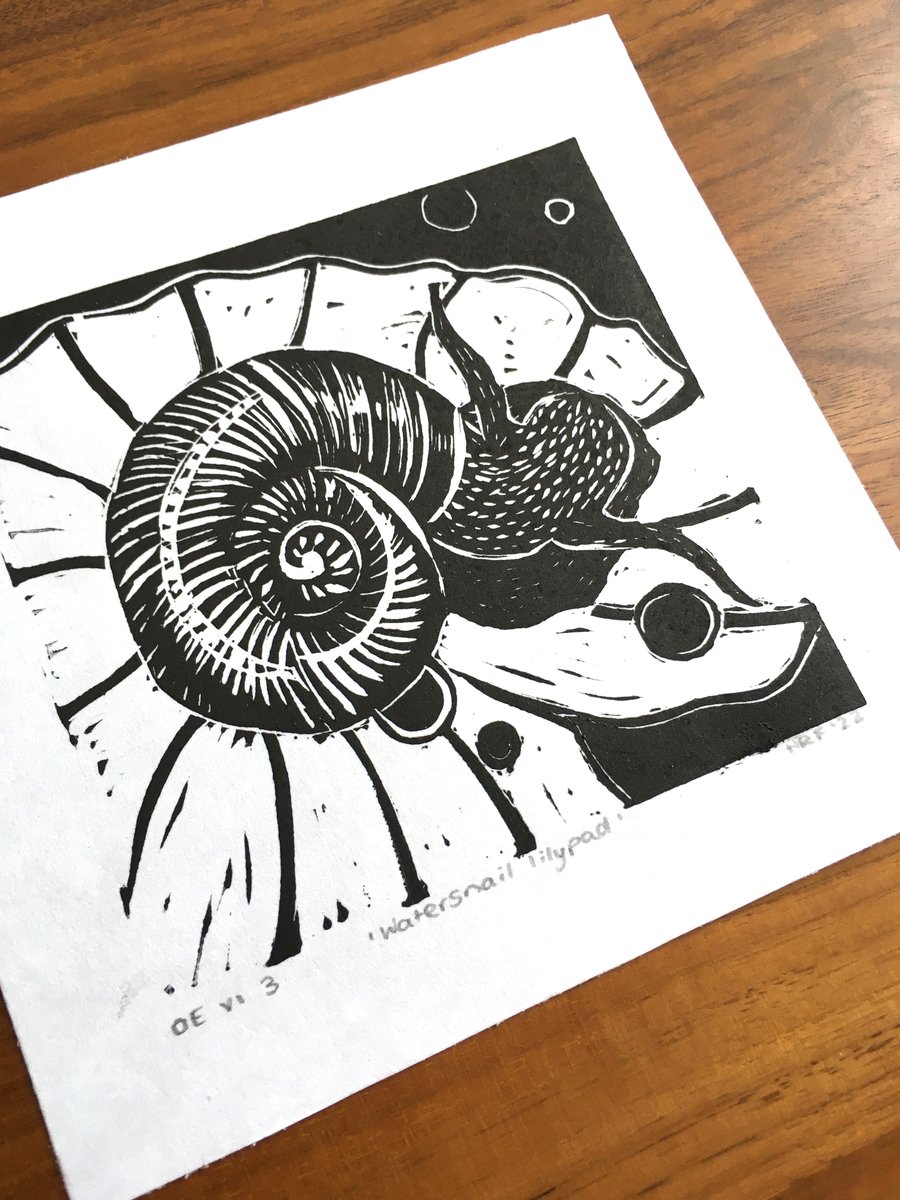 Water snail Lily pad linocut print - nature ins... - Folksy