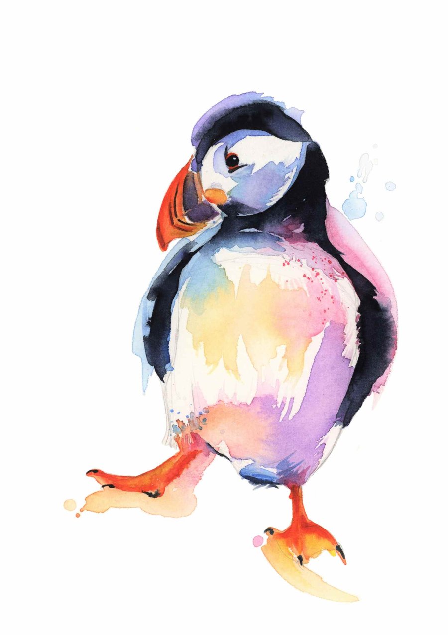 A4 Puffin Print - Folksy