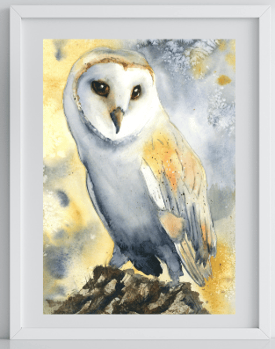 Barn Owl - limited edition print - Folksy