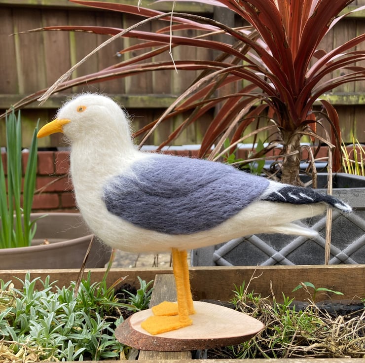 Seagull sculpture, needle felted woollen model - Folksy