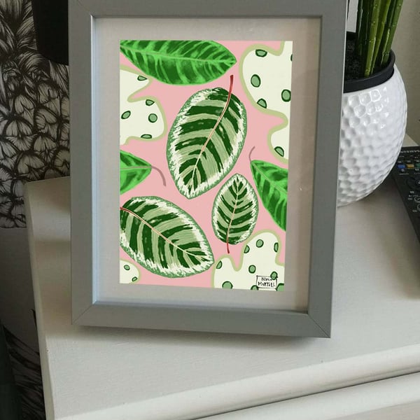 Plant Art. Prayer Plant. Plant Illustration. Ab... - Folksy