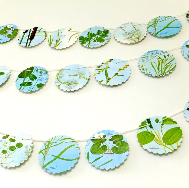 Botanical Bunting - Folksy