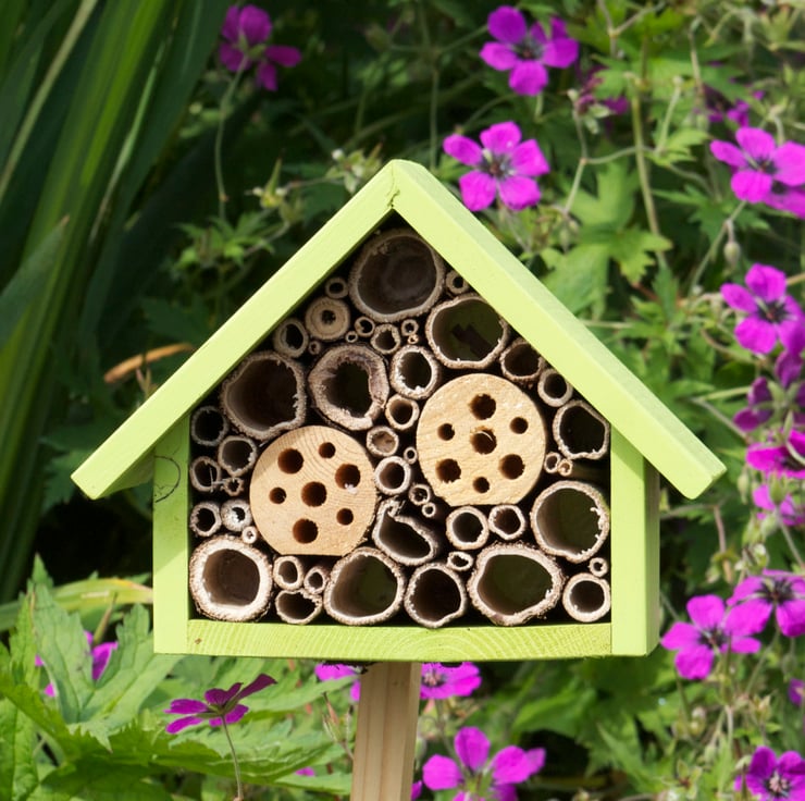 Bee Hotel, Large, in 'Sunny Lime' - Folksy