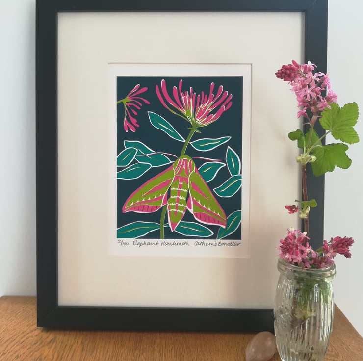 Elephant Hawkmoth screenprint - Folksy