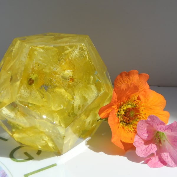Real Flower Geodesic Daffodil (small) - Gift fo... - Folksy
