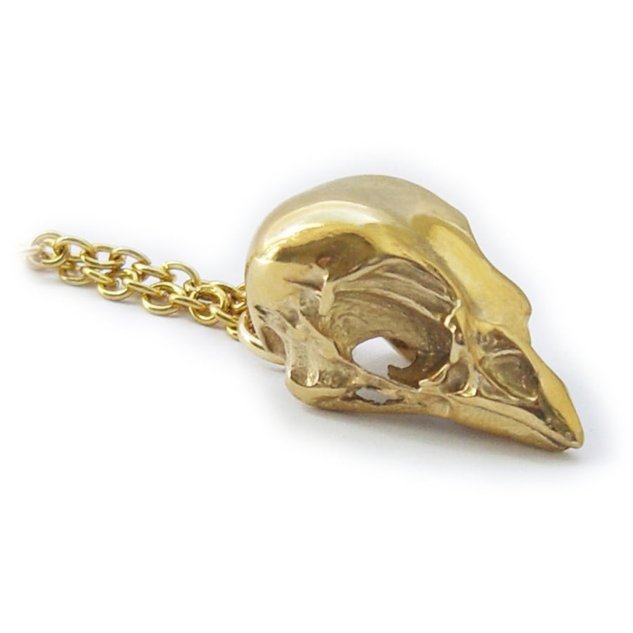 Gold Sparrow Skull Pendant and Chain - Folksy