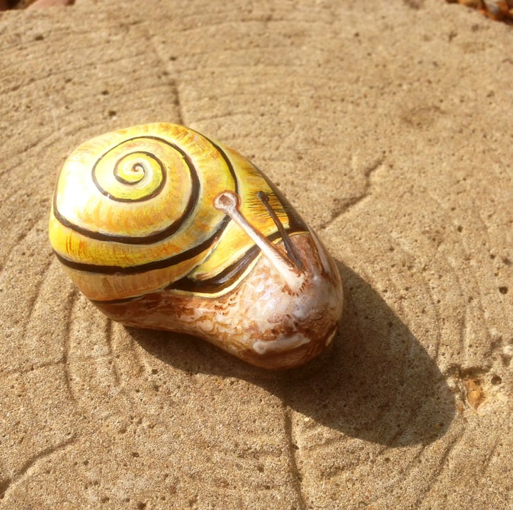 Snail hand painted on stone - Folksy