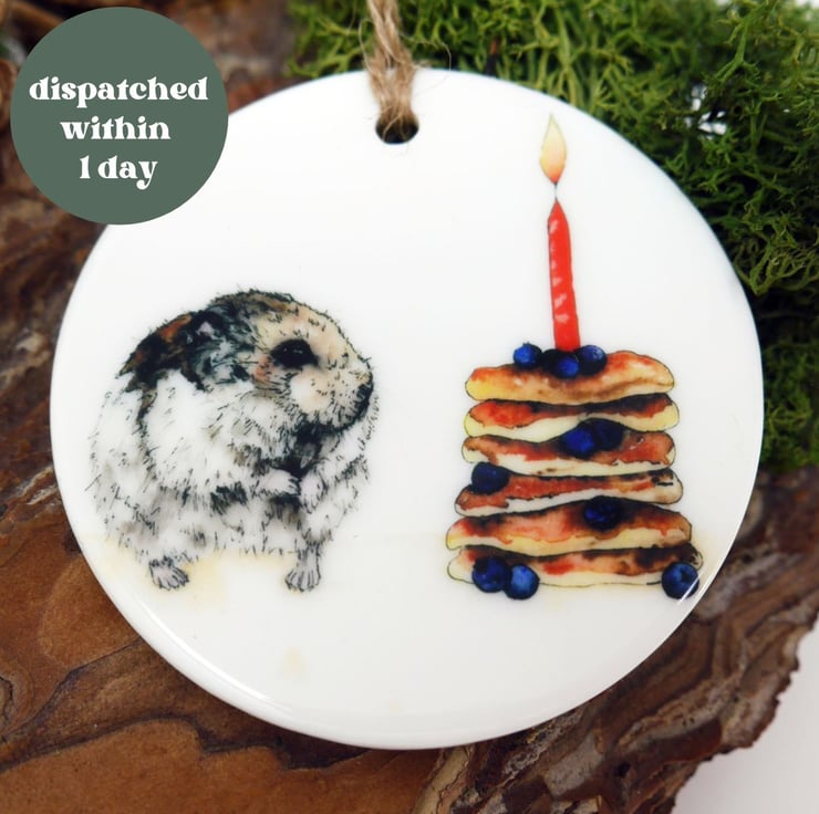 Hamster, Dwarf Hamster, Hamster Birthday, Small... - Folksy