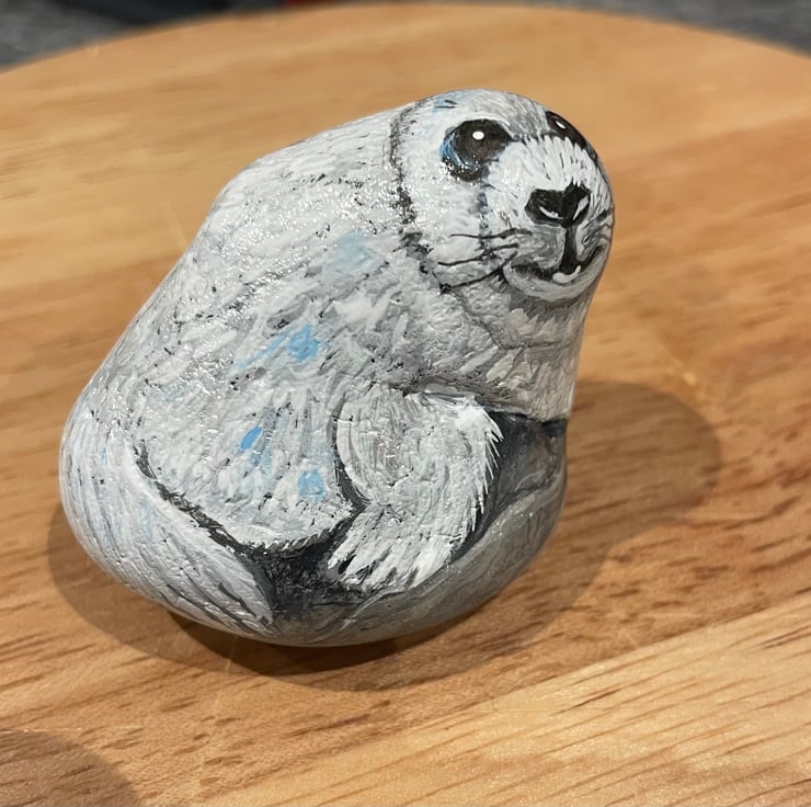 Seal on rock hand painted pebble garden stone art - Folksy