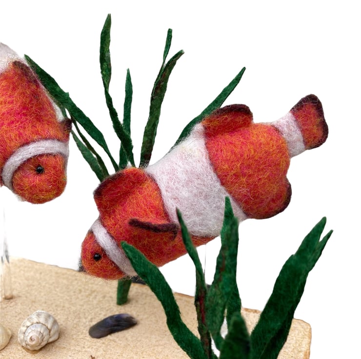 Felted clown fish, needle felted woollen sculpture - Folksy