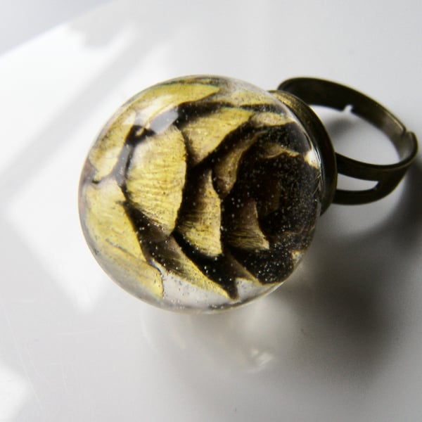 Real Autumn Pine Cone Ring, Resin Orb Ring - Folksy