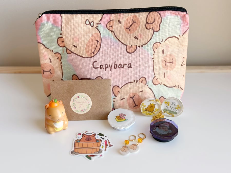 Capybara surprise gift box Birthday teen girl M... - Folksy