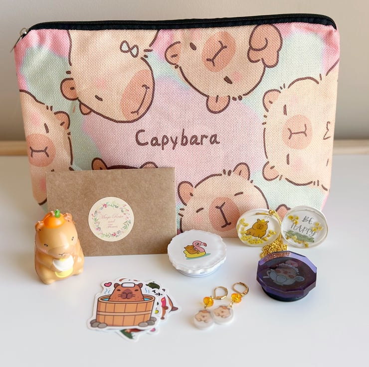 Capybara surprise gift box Birthday teen girl M... - Folksy