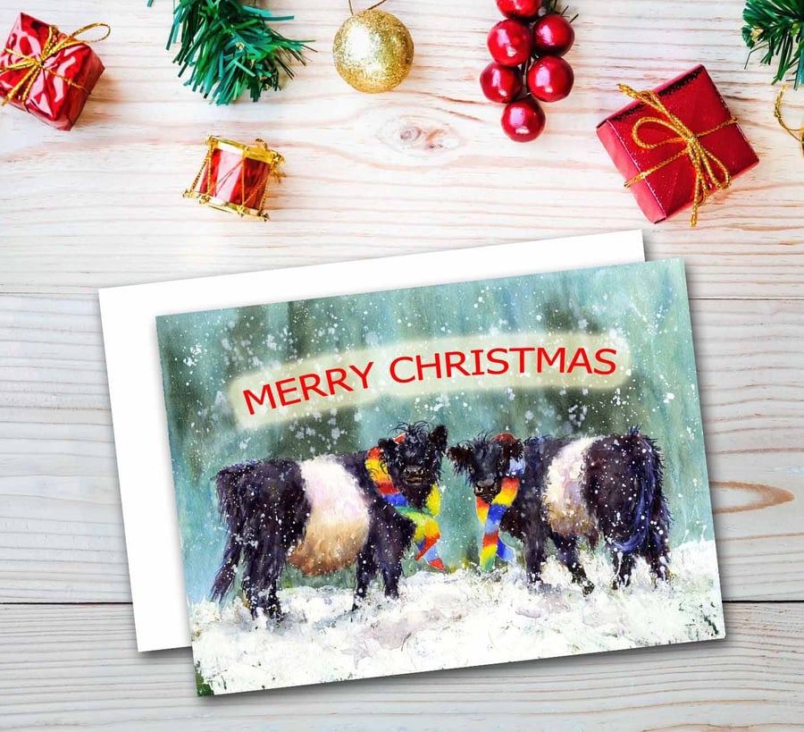 Belted Galloway Christmas card, Cute,festive Wi... - Folksy