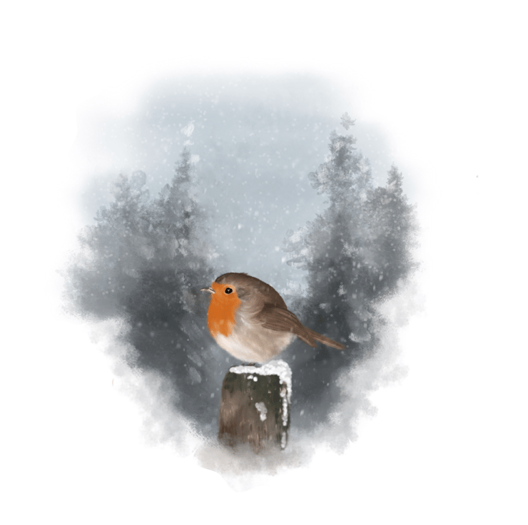 Watercolour Robin Cards - Folksy