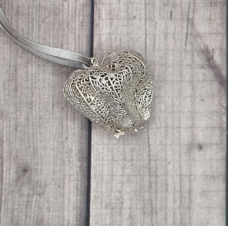 Real skeletal Physalis husk preserved in silver... - Folksy