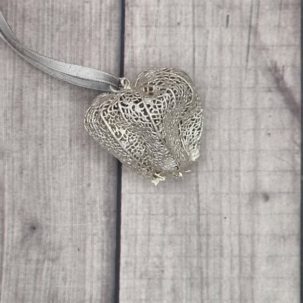 Real skeletal Physalis husk preserved in silver... - Folksy