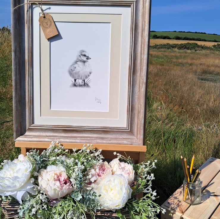 FRAMED Chick Drawing Gilcee Fine Art Print Limi... - Folksy