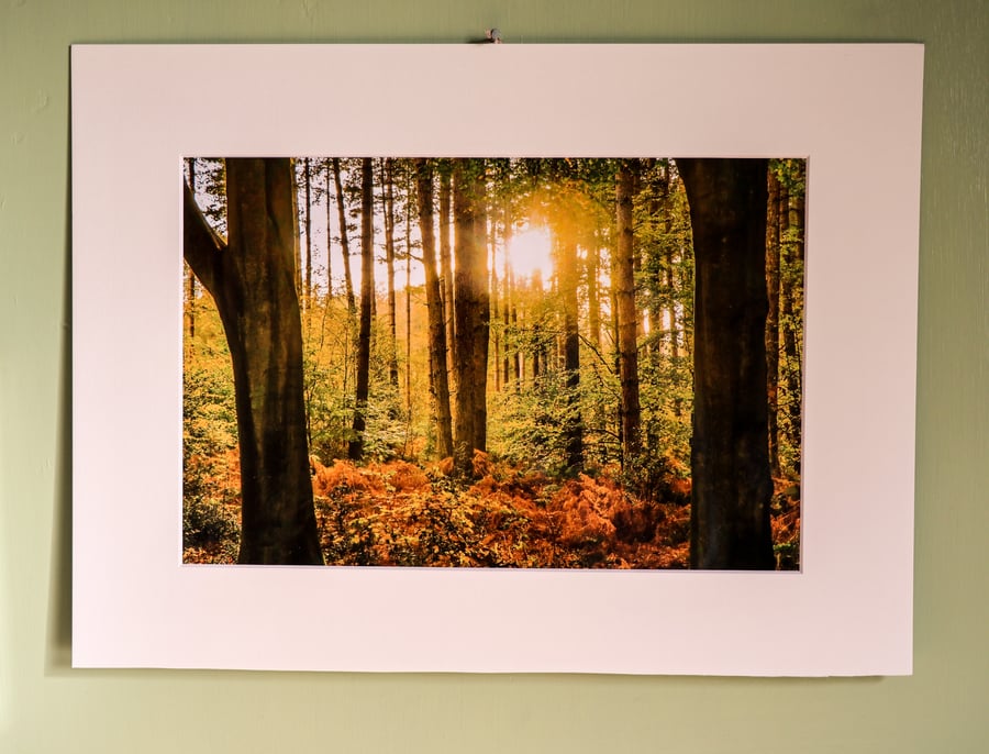 Autumn Days - Folksy