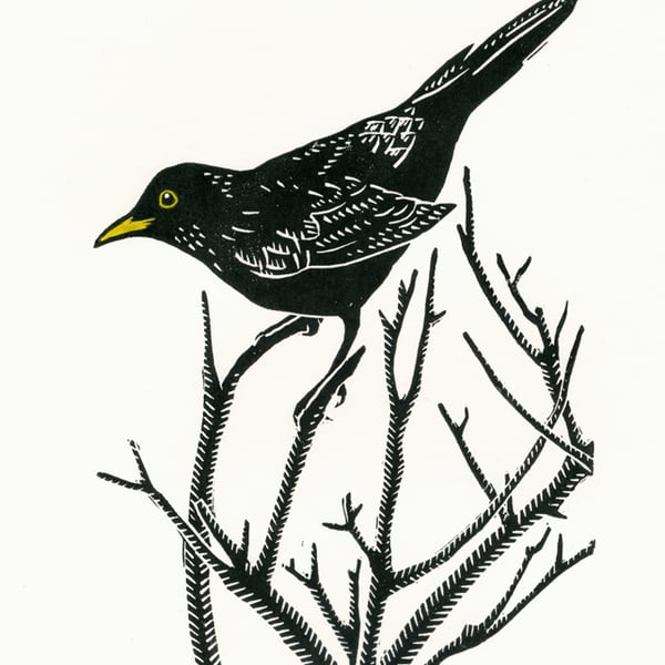 Blackbird two-colour linocut print - Folksy