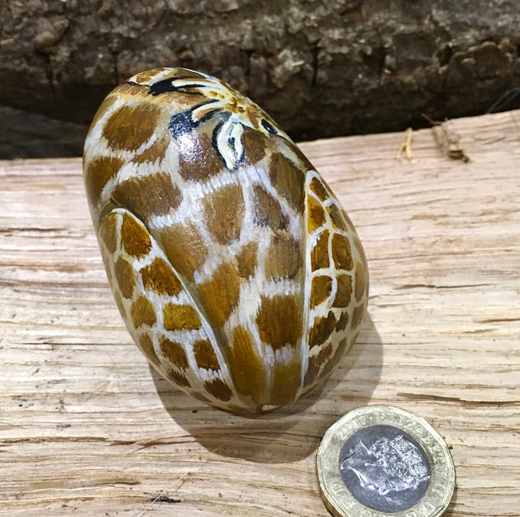 Giraffe painted pebble garden rock art wildlife... - Folksy