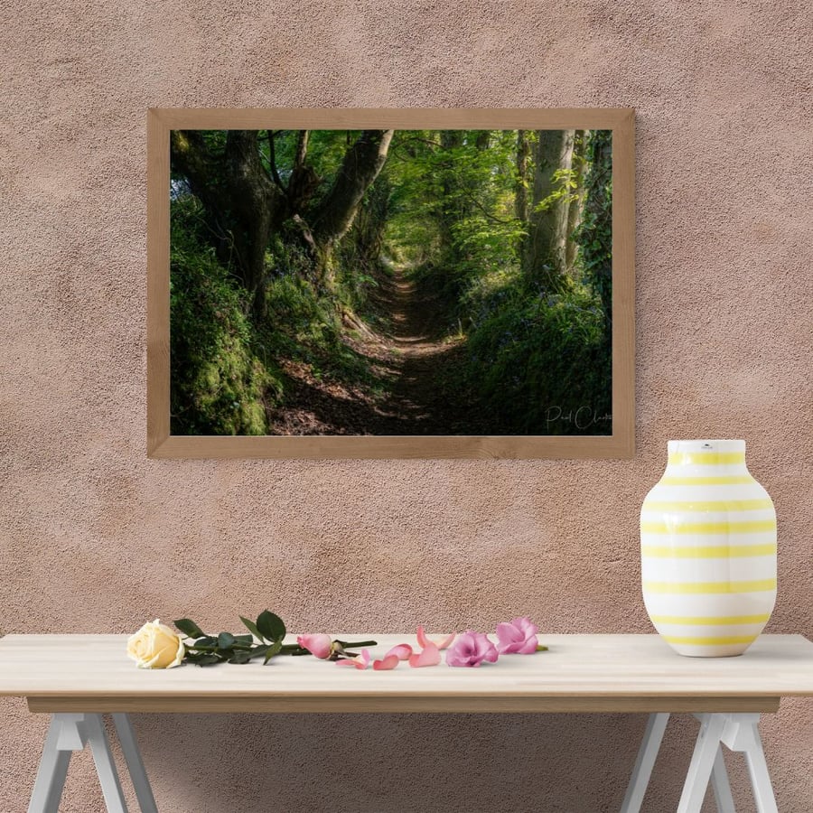 Cornish Hidden Woodland Path at Levalsa Meor, P... - Folksy