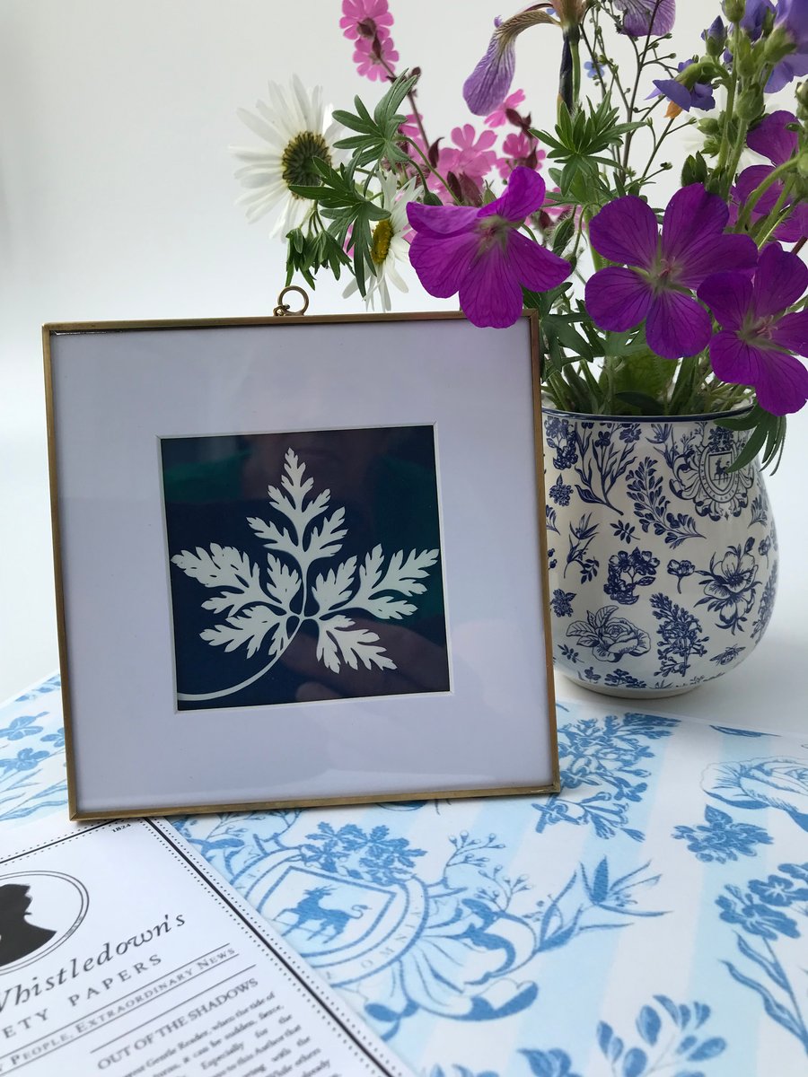 Botanical Framed Art, Cyanotype Original Photog... - Folksy