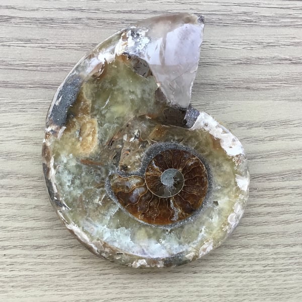 Superb Half Ammonite Trinket Dish, Home Decor o... - Folksy