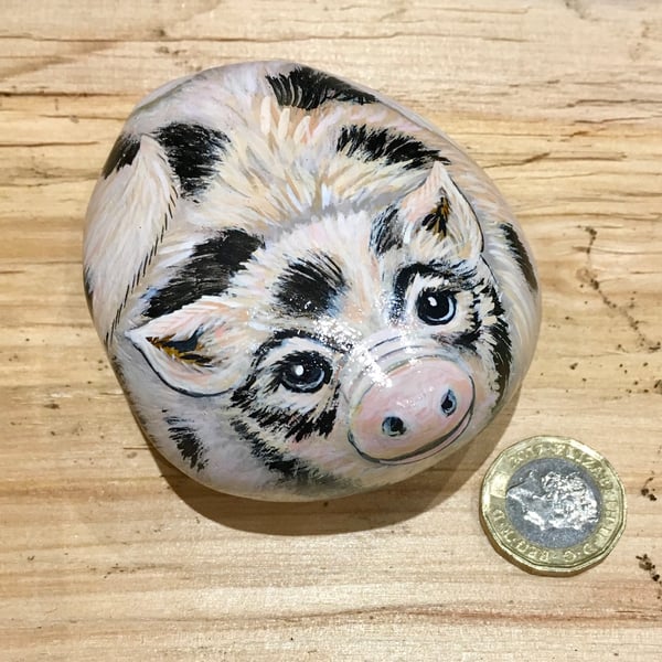 Pig hand painted pebble pet rock stone animal g... - Folksy