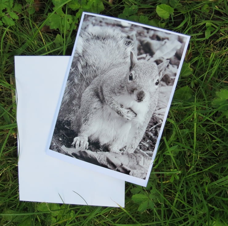 Eye Spy. A set of two cards, each featuring an... - Folksy