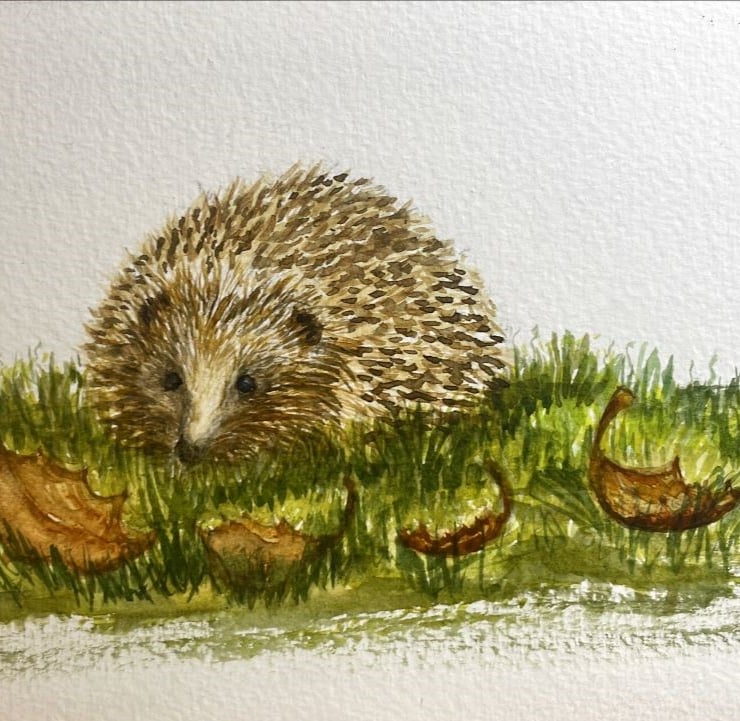 The Hedgehog Print - Folksy