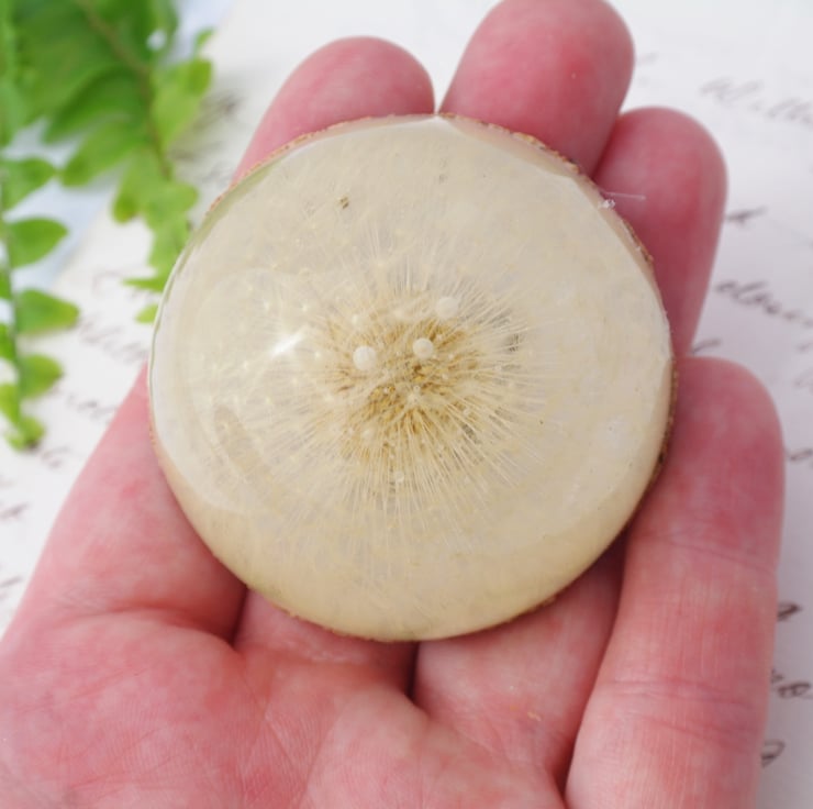 real dandelion resin paperweight for nature lov... - Folksy